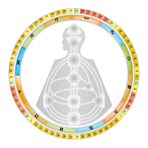 Corpo Grafico del Rave - Human Design Italia